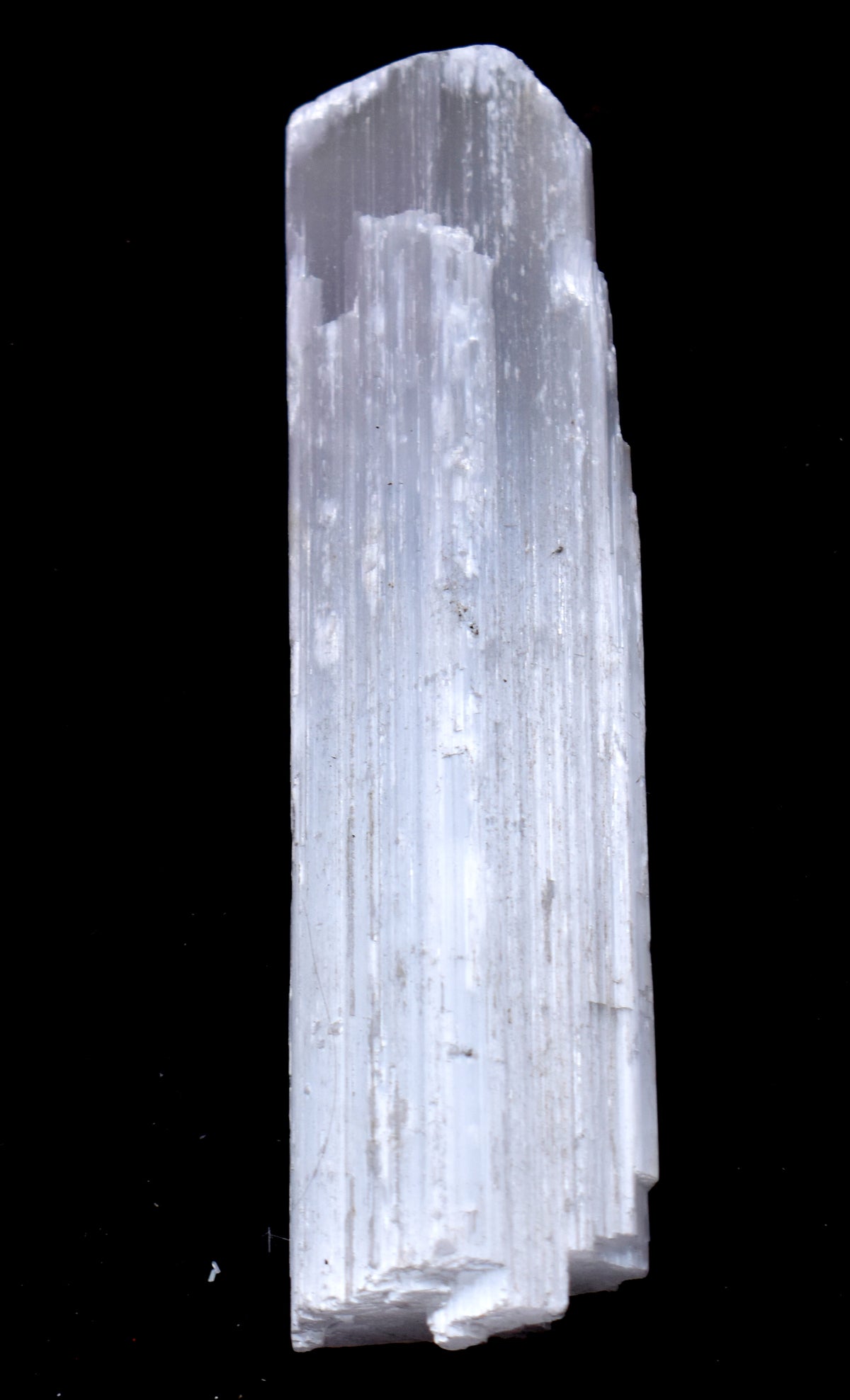 Natural Selenite Gemstone Rough Stick – Supports Clarity and Energy Cl ...