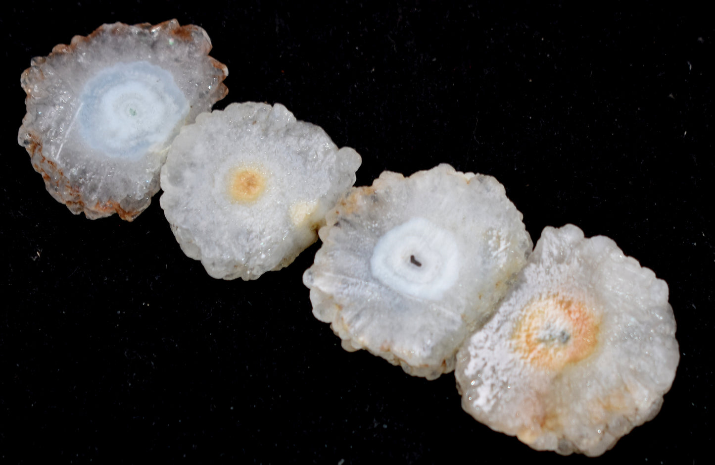 Solar Quartz Slice – Crystal Empire Siri